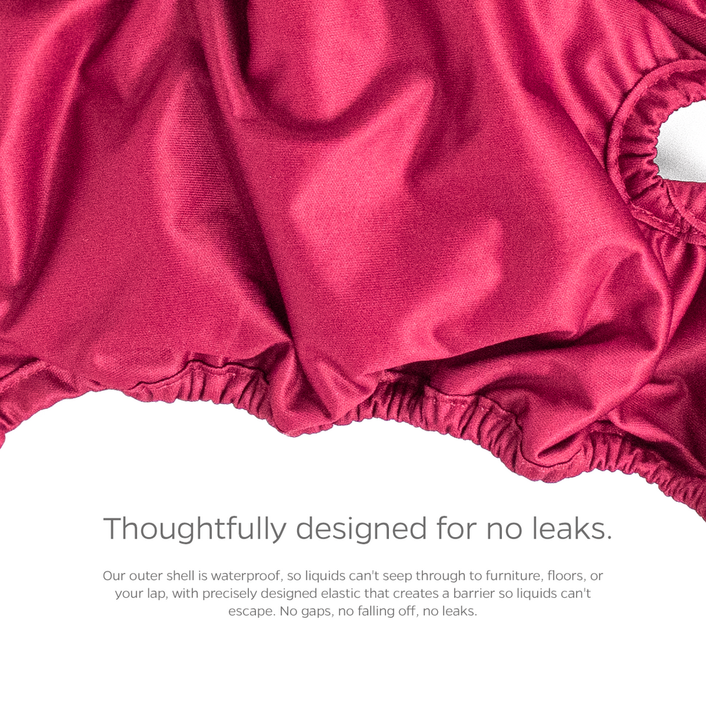 Premium Washable Cat Diapers (3-Pack) | Kitten Diapers | Pet Parents®