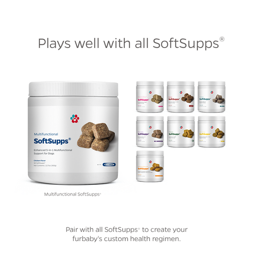 Multivitamin SoftSupps® | Dog Vitamins | Vitamins for Dogs