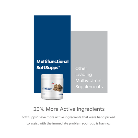 Multivitamin SoftSupps® | Dog Vitamins | Vitamins for Dogs