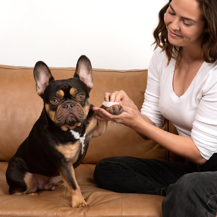 Pet WiPees™ Dog Wipes All Purpose + Skin & Coat | Dog Grooming Wipes