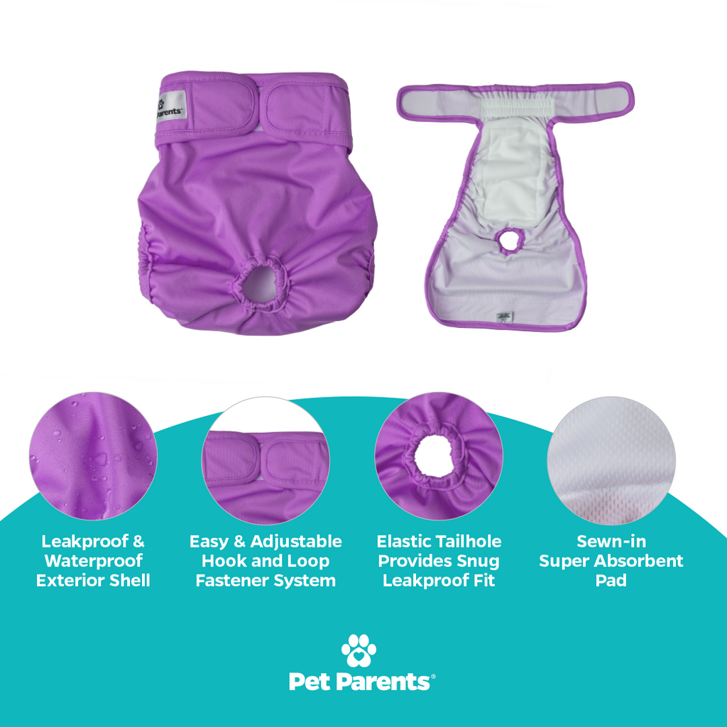 Premium Washable Cat Diapers (3-Pack) | Kitten Diapers | Pet Parents®