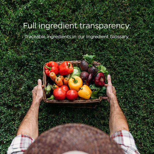 Multivitamin SoftSupps® | Dog Vitamins | Vitamins for Dogs